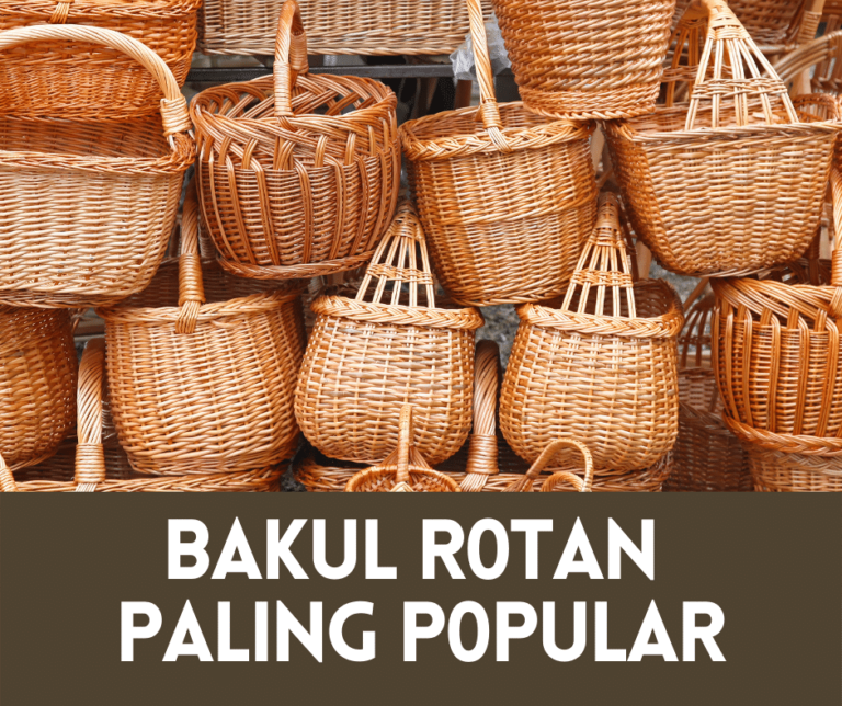 8 Bakul Rotan Popular Pilihan Nitizen Malaysia • Portal Informatif Anda